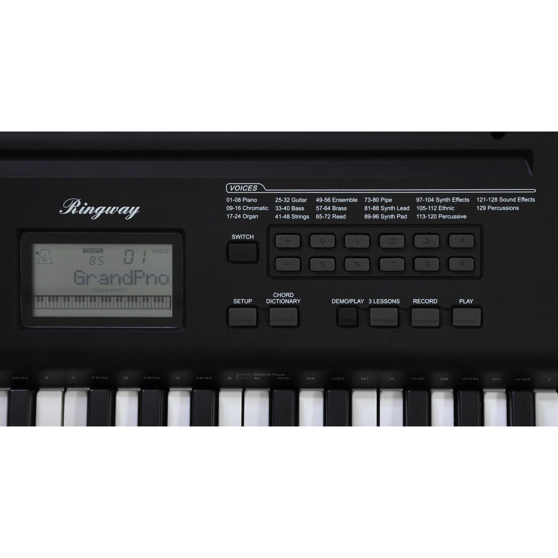 Ringway TB-100 - синтезатор | Купить в магазине Аудиомания