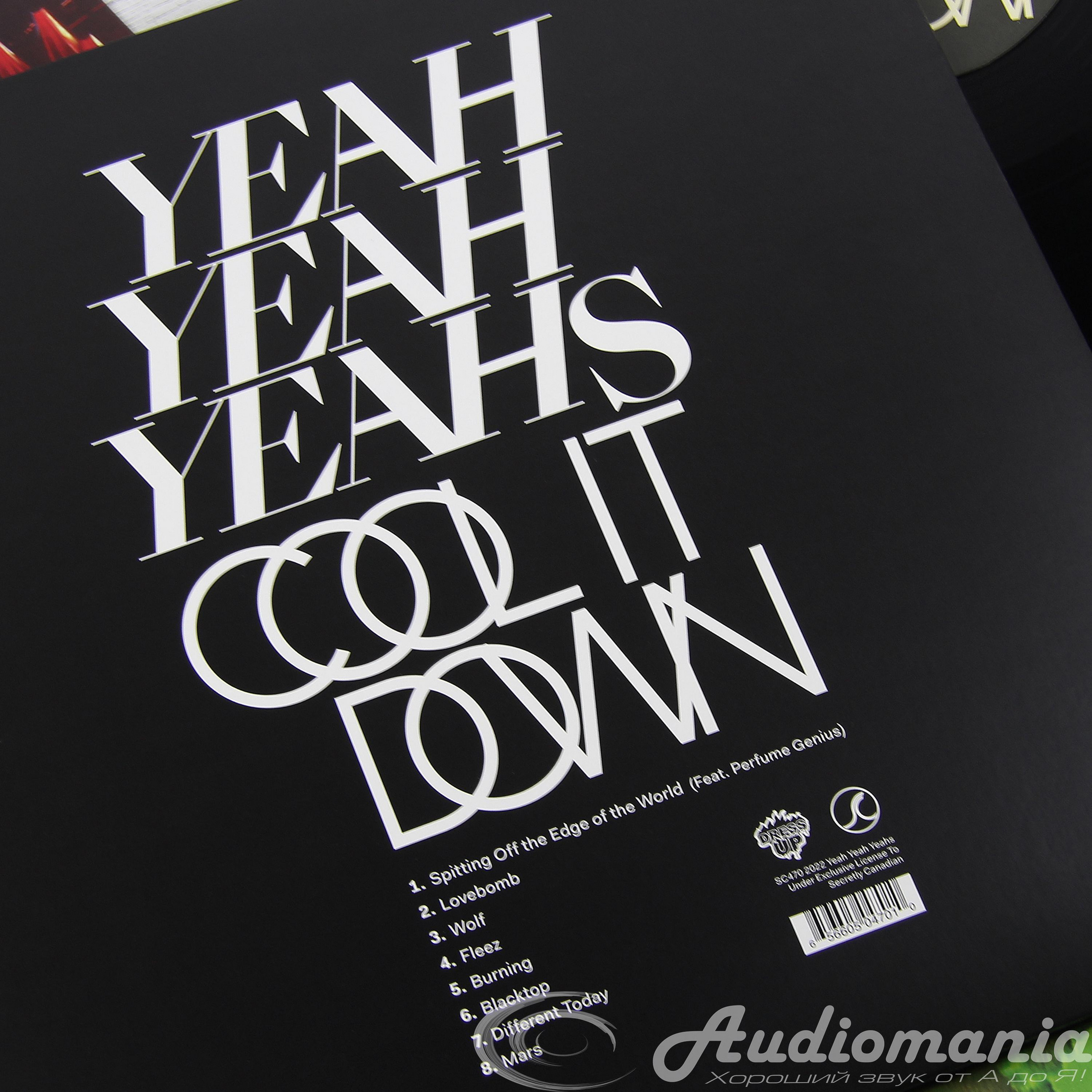 Виниловая пластинка YEAH YEAH YEAHS - COOL IT DOWN | Купить в магазине ...
